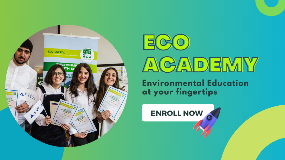 ECO-UNESCO - Ireland's Environmental Education and Youth Organisation